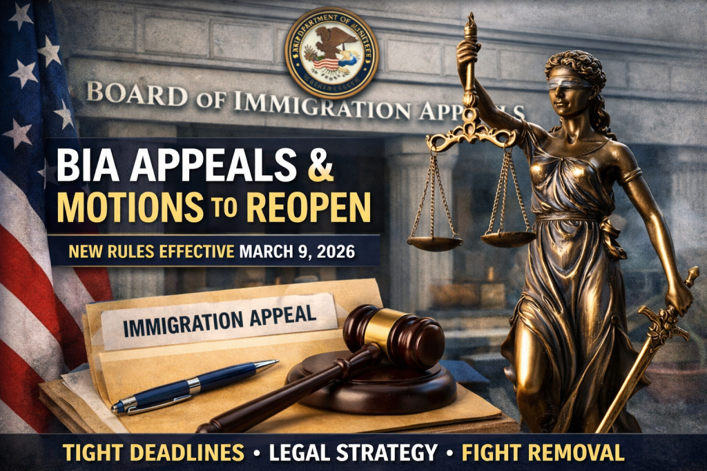 BIA Appeal Lawyer: How to File an Immigration Appeal or Motion to ...